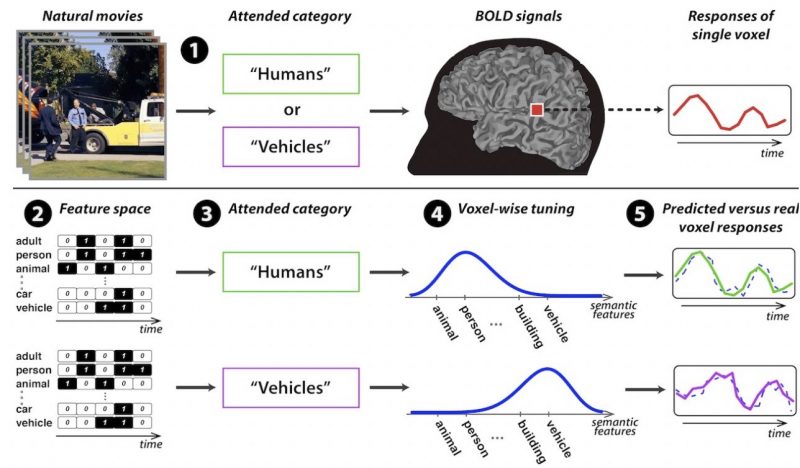 Bilkent EEE – Computational Neuroscience